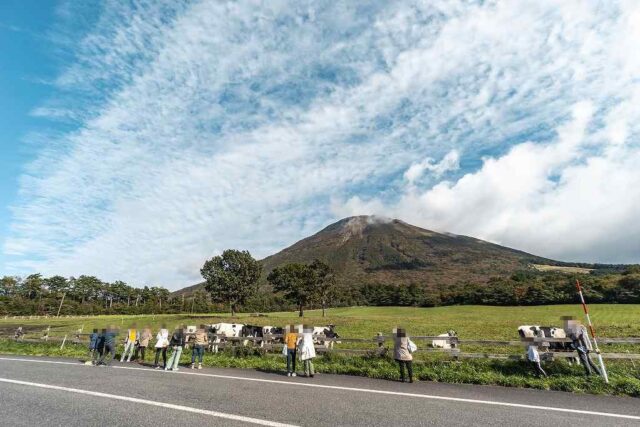 放牧の牛に会いに行こー！『大山まきばみるくの里』はソフトクリームも絶品！ | 旅々PHOTO