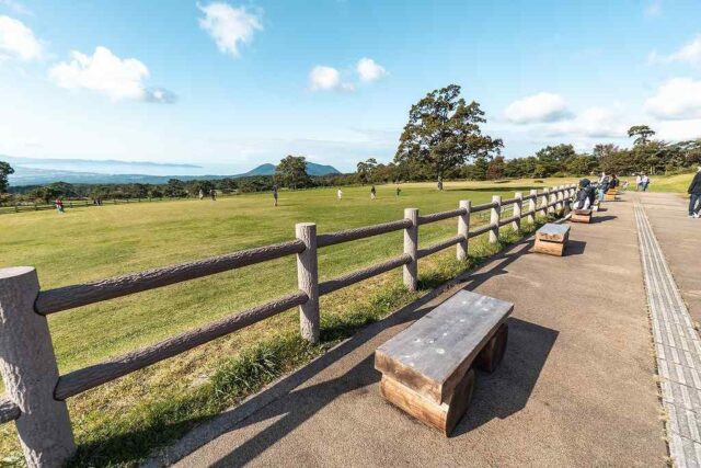 放牧の牛に会いに行こー！『大山まきばみるくの里』はソフトクリームも絶品！ | 旅々PHOTO