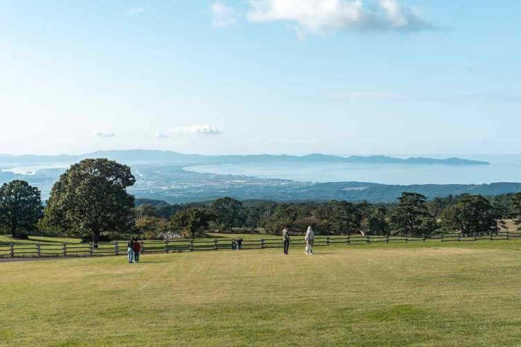 放牧の牛に会いに行こー！『大山まきばみるくの里』はソフトクリームも絶品！ | 旅々PHOTO