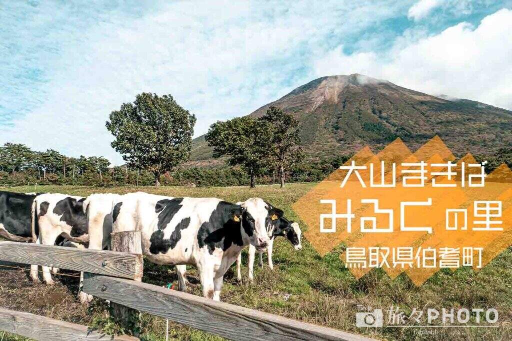 放牧の牛に会いに行こー！『大山まきばみるくの里』はソフトクリームも絶品！ | 旅々PHOTO
